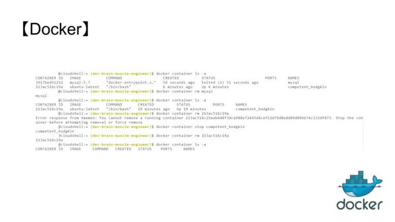 【Docker】コンテナを起動させるには？runコマンドの使い方や処理内容を紹介 - テックパンプ